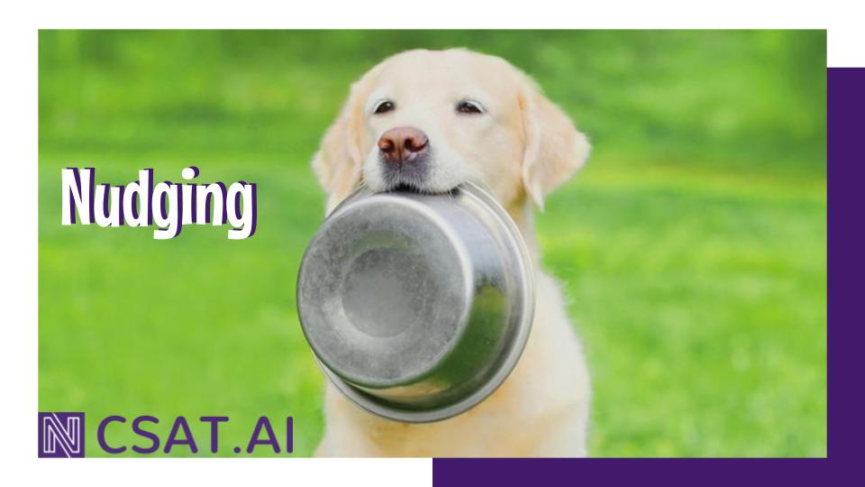 Nudging For Improved Customer Experience And Agent Performance